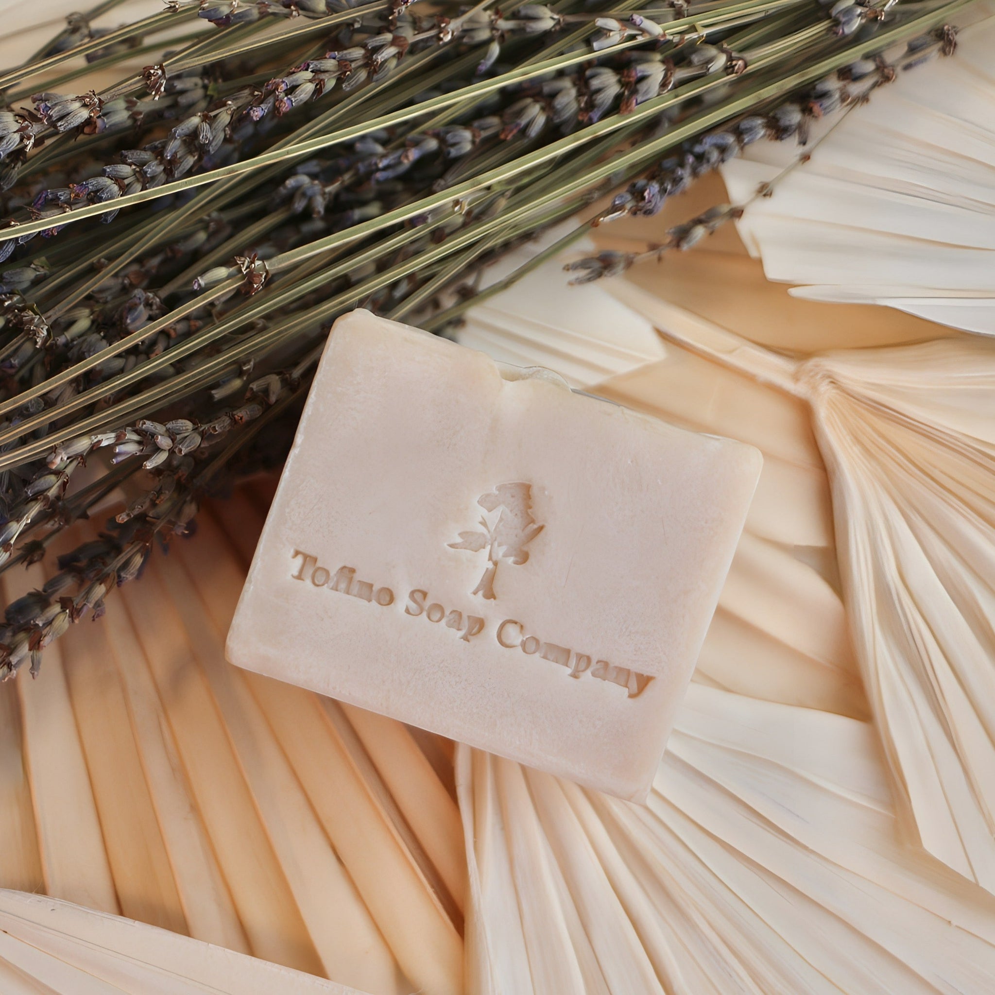 Organic Guest Soap – Tofino Soap Company